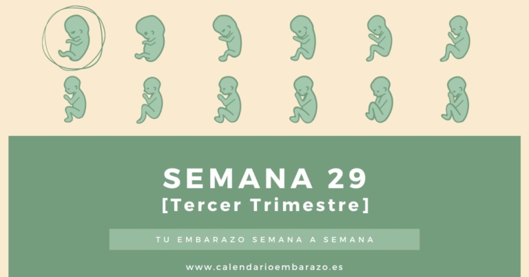 🌻 Semana 29 de embarazo: Vigilancia de la presión arterial