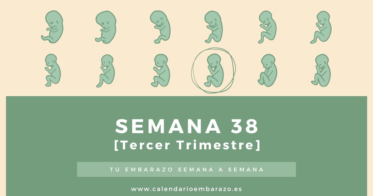 💫 Semana 38 de embarazo: Signos de que el parto está cerca